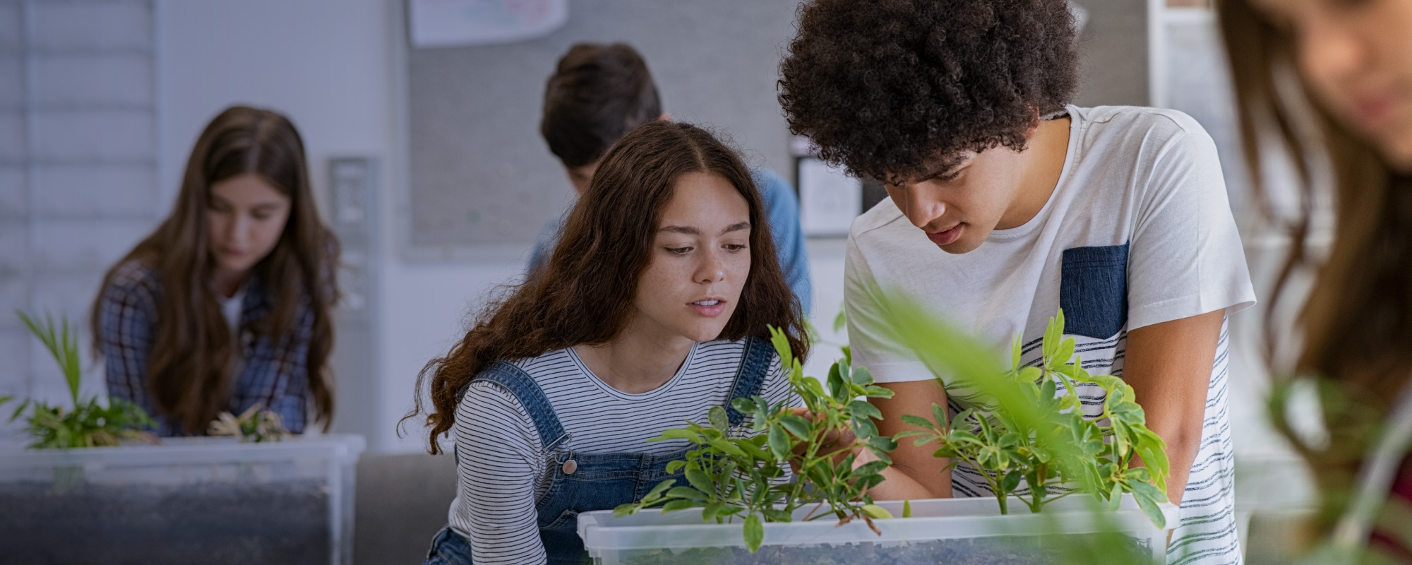 Webinar Gratuiti Lezioni Su Sostenibilità Stem E Coding Con Arduino